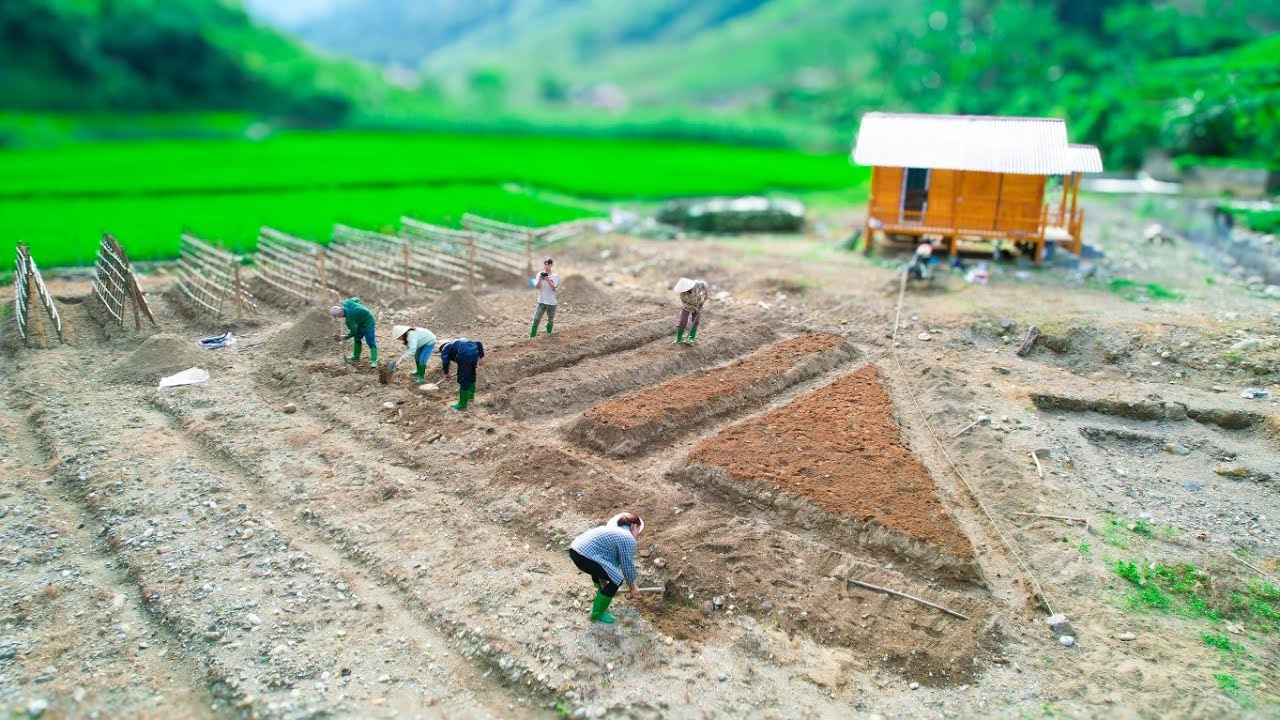 Build a small farm from scratch - Grow vegetables, flowers, corn and ...
