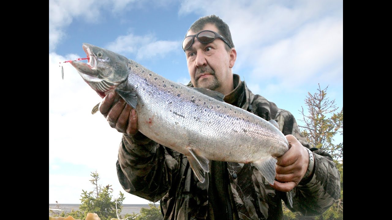 "RAVE". Part first. About fishing, Nature, traveling and adventure ...