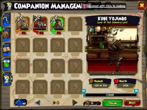 Pirate101 All Classes lvl50 - YouTube