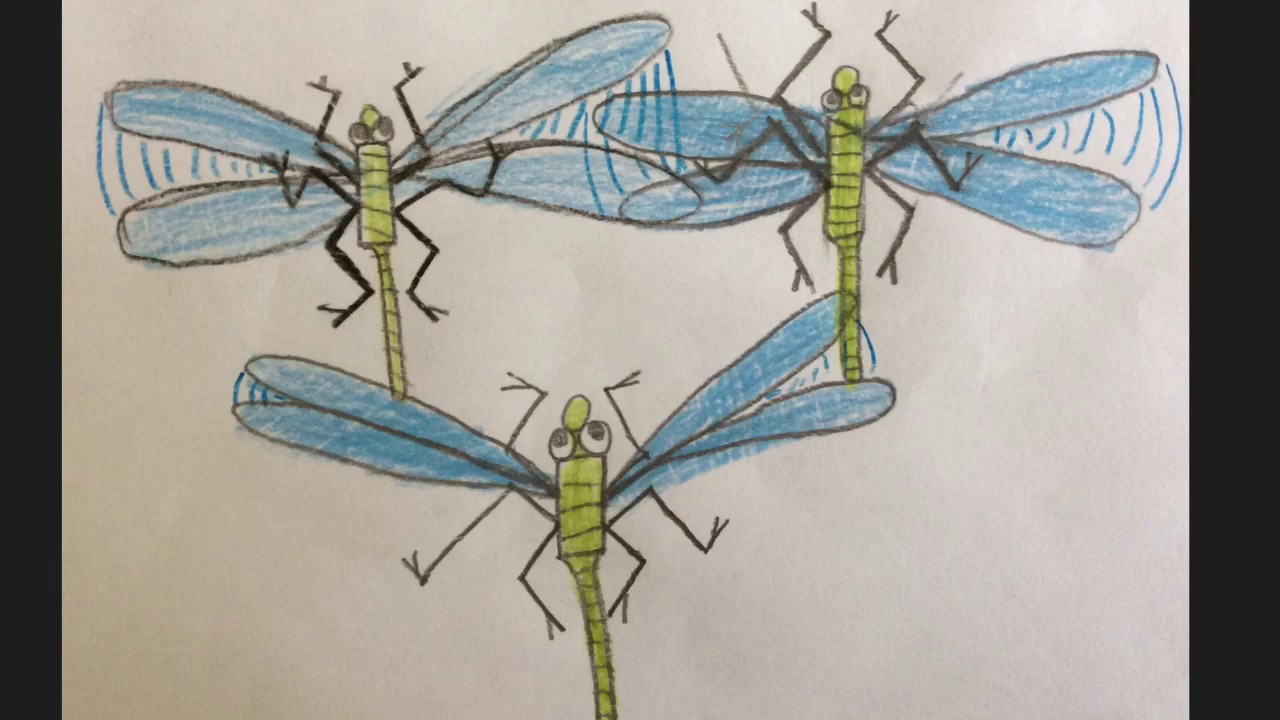 Wie man eine Libelle zeichnet - YouTube