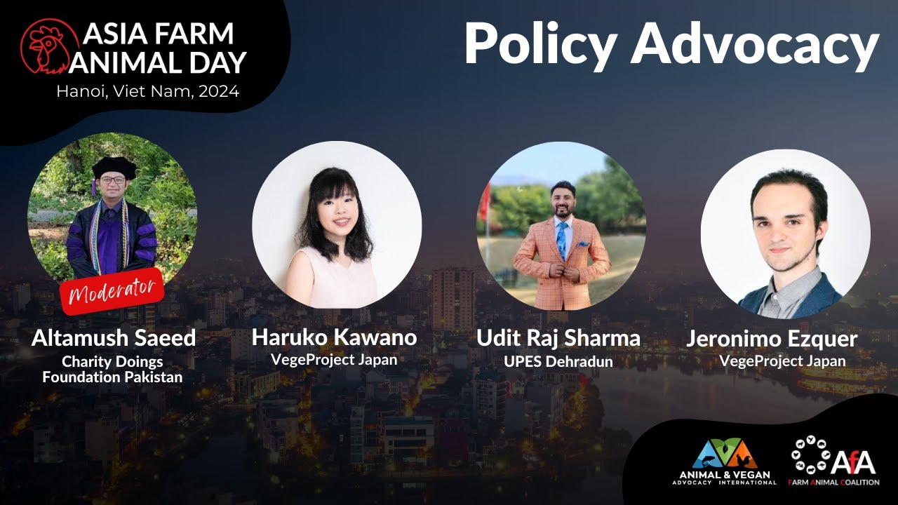 AFAD 2024 Viet Nam | Policy advocacy - YouTube