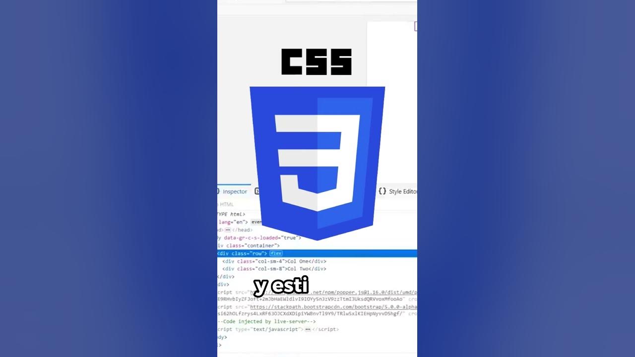 Coder Computerprogramming Education Tecnologia Technology Web Shorts Coding Programming 5696