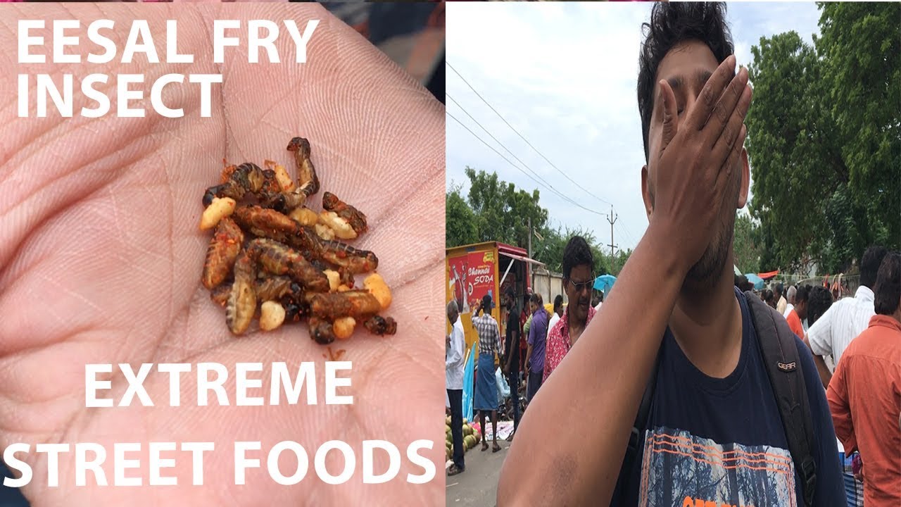 EATING EESAL ( INSECT ) FRY | EXTREME STREET FOODS | PALLAVARAM FRIDAY ...