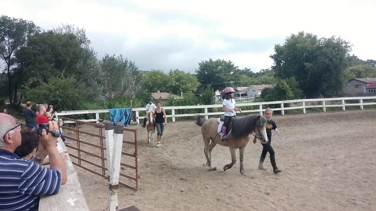 Addison riding in her first horse show - YouTube