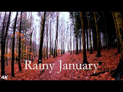 Rainy January Walk | Virtual Walking | 4k | ASMR | Sounds Of Raining ...