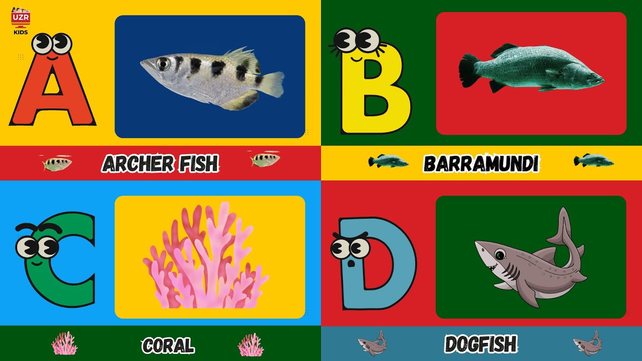 🐠 A to Z Sea Creatures Song | Learn Ocean Animals for Kids 🎶🌊 | #abcd # ...