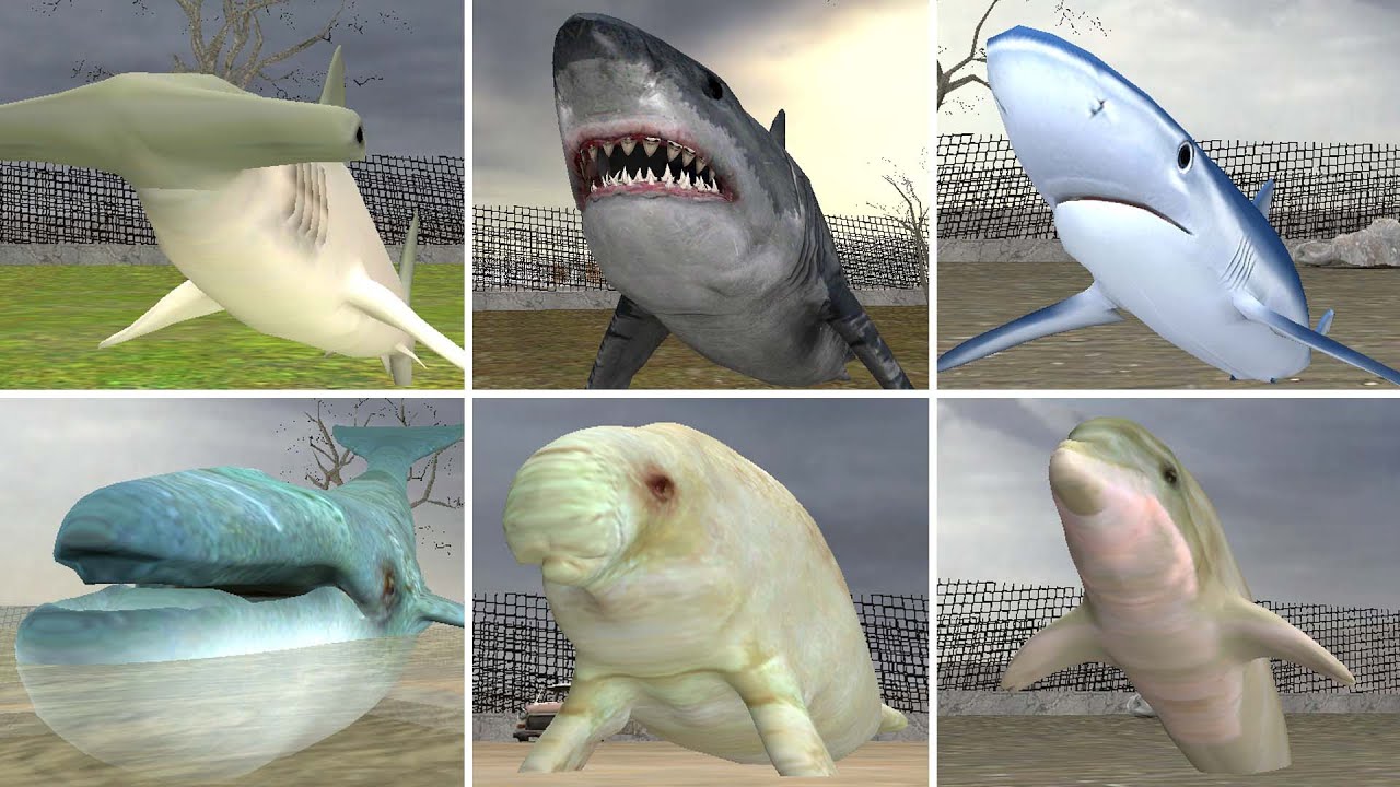 ZOOCHOSIS ALL NEW RELEASE CANDIDATTE ANIMALS MONSTERS ANIMALS & BLUE ...