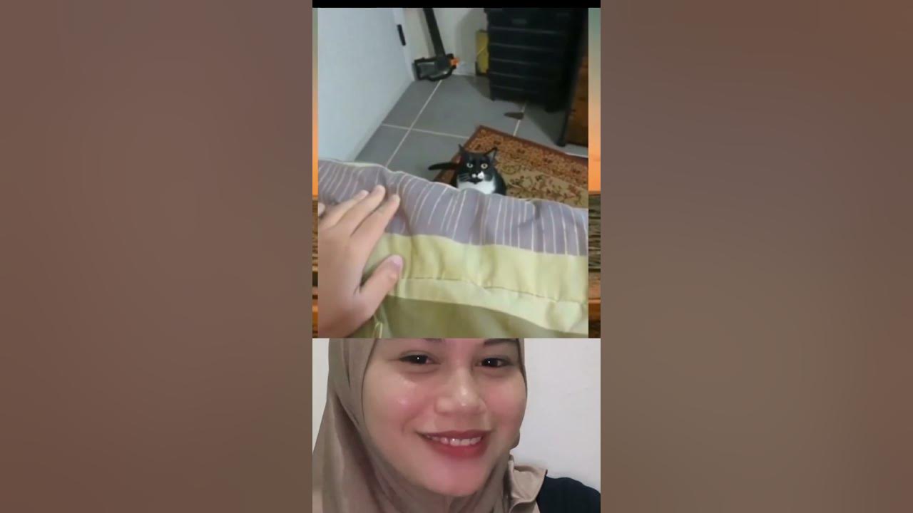 Meme random#lucu #ngakak #hiburan #kocak #funny #fyp #viralvideo - YouTube