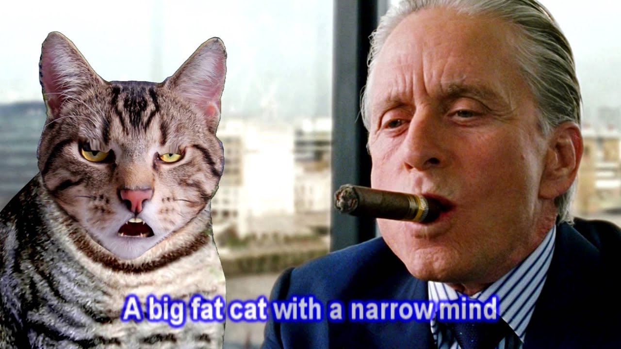 Divided We Stand - sung by a Demo"cat" and a Re"pug"lican (political ...