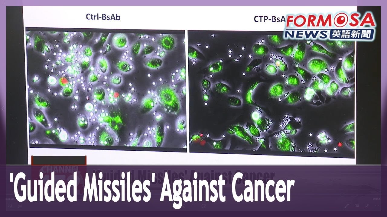 Researchers develop ‘guided missiles’ that fight cancer without harming ...