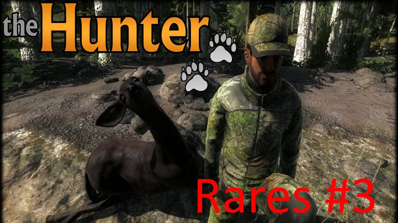 the Hunter Rares # 3 - YouTube
