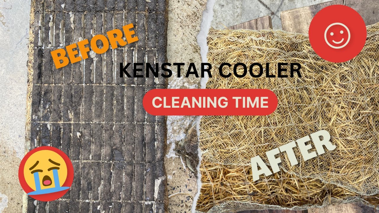 How To Clean Cooler At Home Without Damaging The Product | How To Take ...