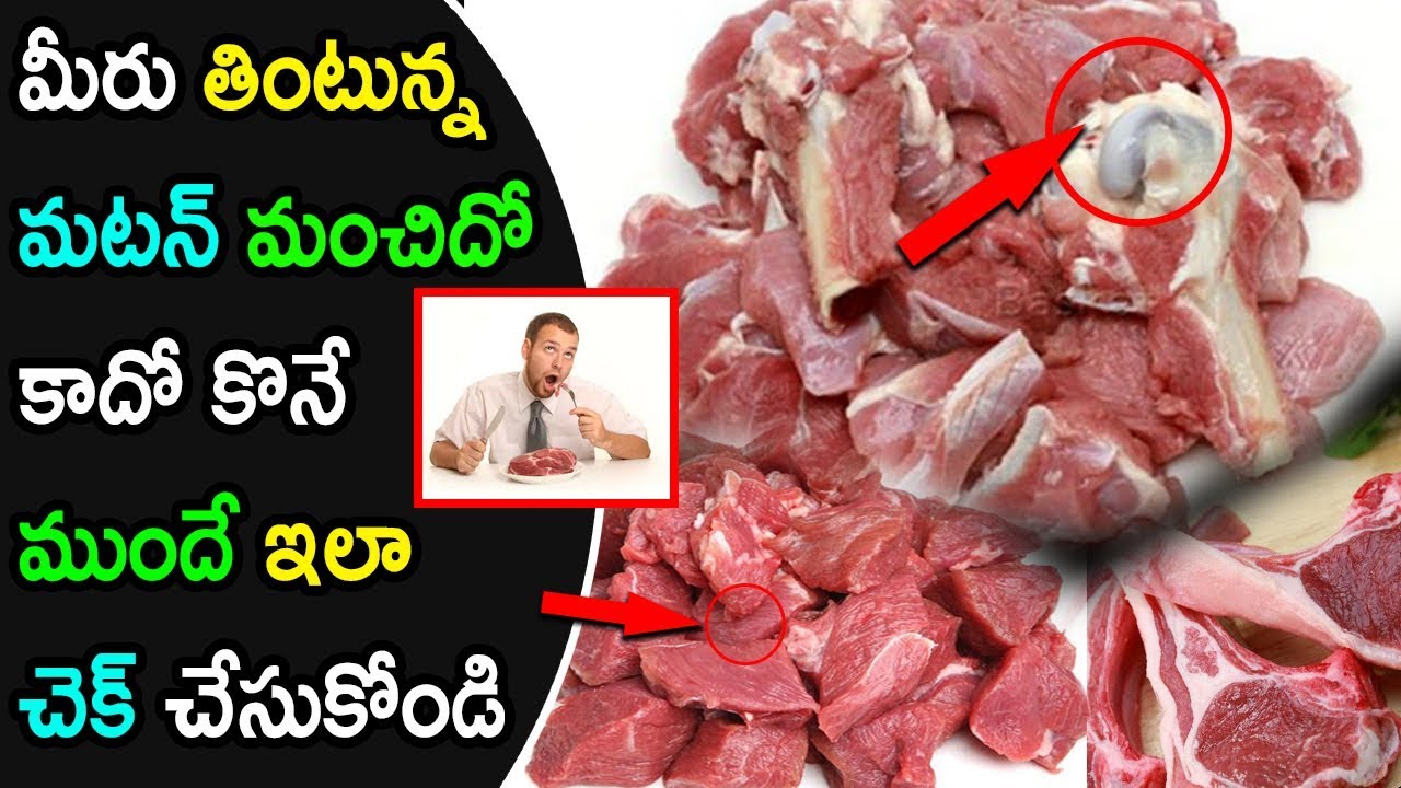 Check These Things Before You Buy a Motton Goat & Sheep Meat - YouTube