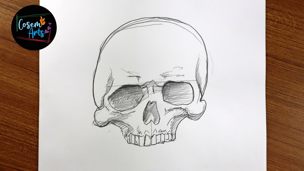 Skull Drawing || How to Draw a Human skull - YouTube