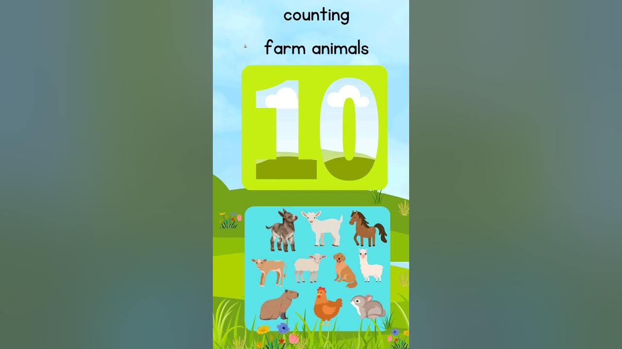 Counting Farm Animals 1 to 10! Learn to Count the animals, dog pony ...