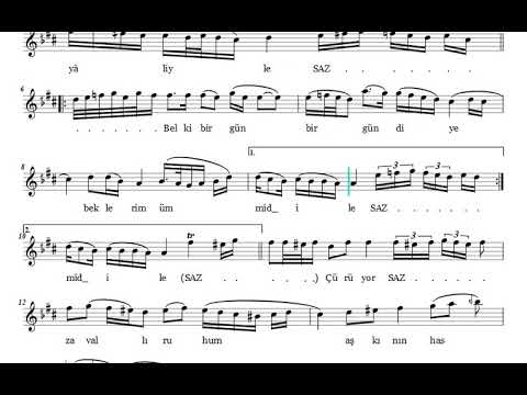Hastayım Yaşıyorum Görünmez Hayaliyle - Nota Eşliğinde Karaoke (Ahenk:Kız Neyi - B)