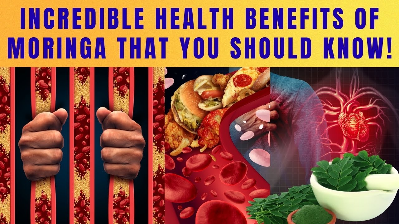 Unlocking the Power of Moringa: 8 Incredible Benefits Of Moringa (with ...