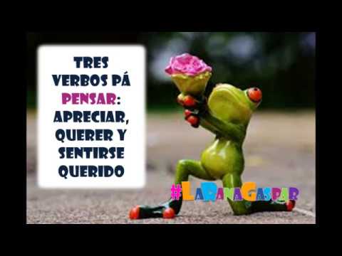 La necesidad de querer y sentirse querido - YouTube