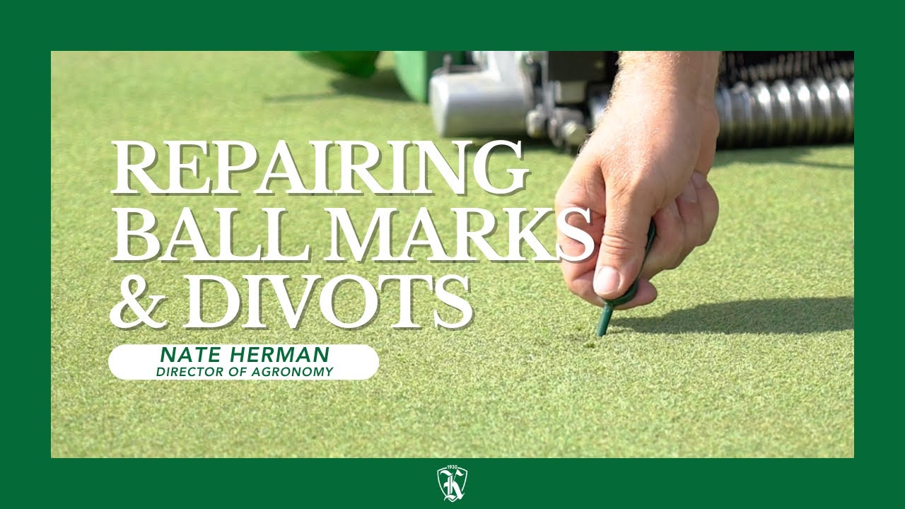 Repairing ball marks & divots with Nate Herman, Director of Agronomy ...