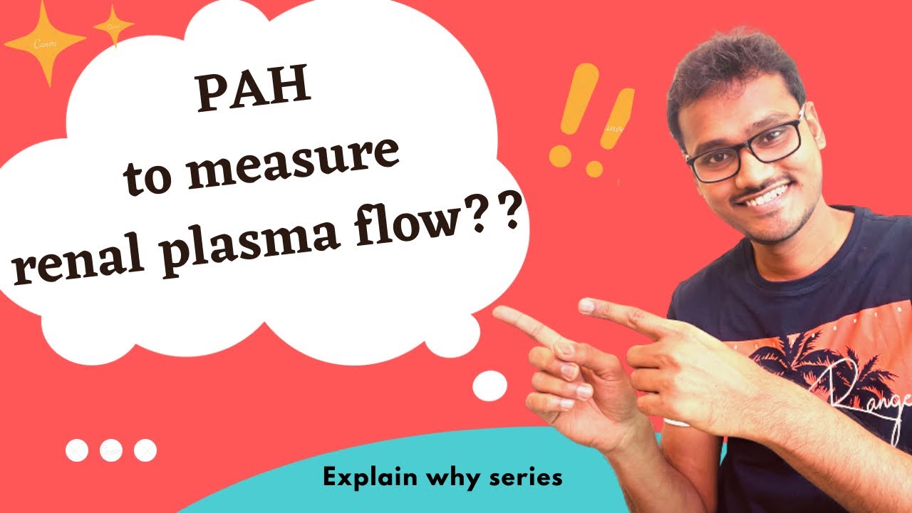 PAH clearance is used to measure Renal plasma flow. WHY?? - YouTube