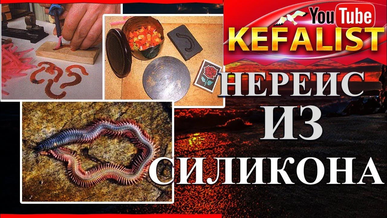 Наживка на кефаль - морской червь Нереис, лучшая прикормка на кефаль ...