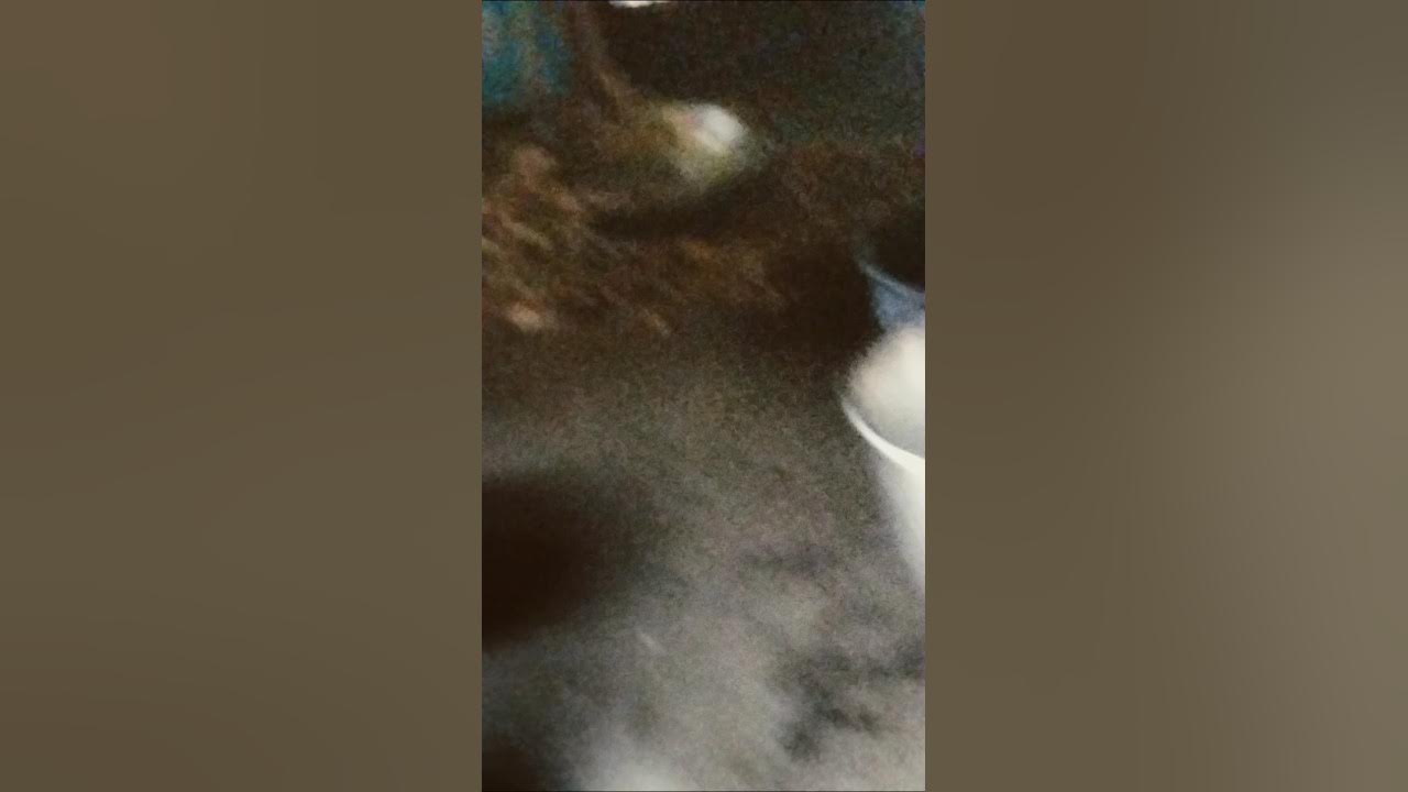 17 January 2025 - YouTube