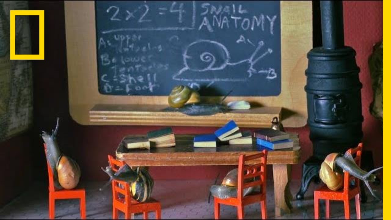 The Strange and Wonderful World of the 'Snail Wrangler' | Short Film ...