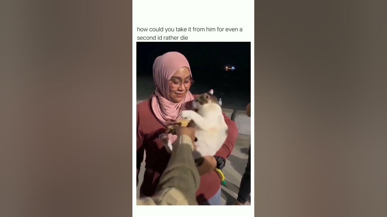 I would rather die than let you go? - YouTube