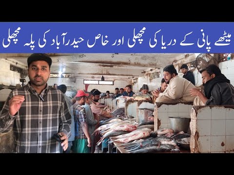 Hyderabad food tour | Hyderabad Fish market rates | River Fishes ...