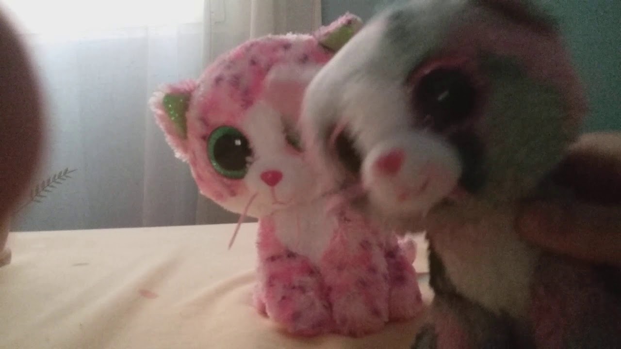 Gatito bailando - YouTube