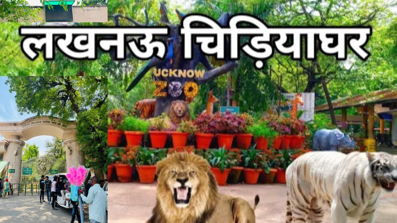 Lucknow Zoo l Nawab Wajid Ali Shah Zoological Garden Lucknow Uttar ...