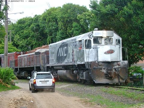 Trem ALL Locomotiva EMD G22U com pintura prateada grafitada no Ramal de ...