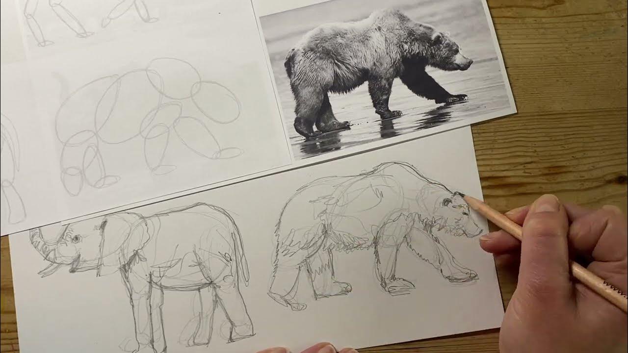 Quick Animal Sketches Using Shapes to Build the Drawings - YouTube
