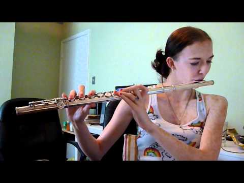 My Heart Will Go On- Titanic (on flute) - YouTube