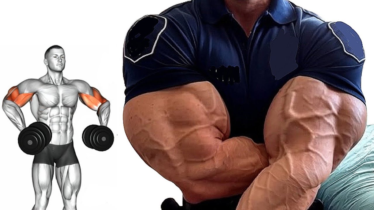Arms Supersets Workout Gym Intense Biceps Triceps Builder - YouTube