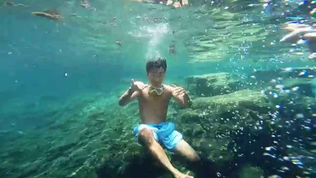 Diving at Peacock Springs Florida | GoPro 4 Edit - YouTube