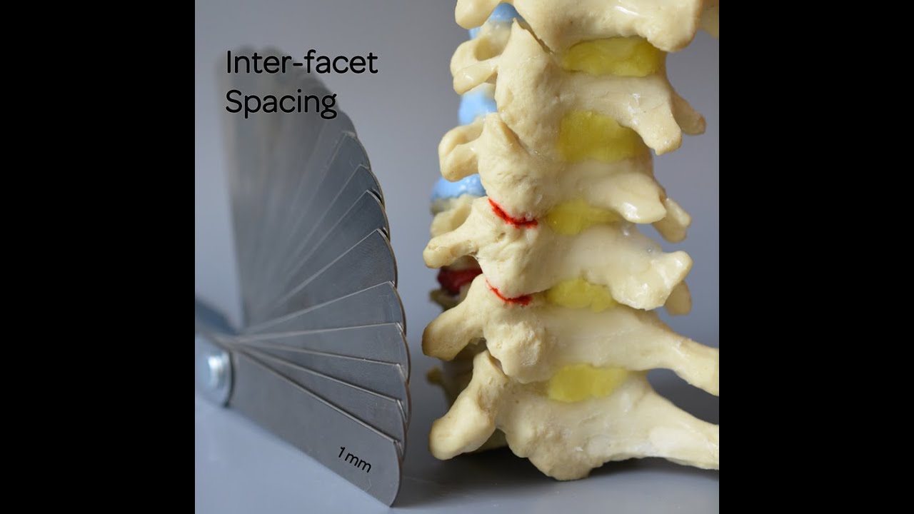Facet Spacing - Dynamic Disc Designs Corp. - YouTube
