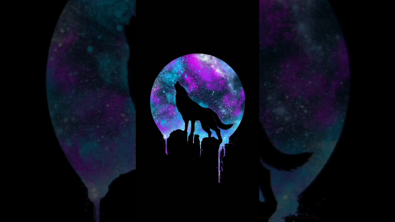 BO'RILAR RASMLARI BIR VIDEODA. - YouTube