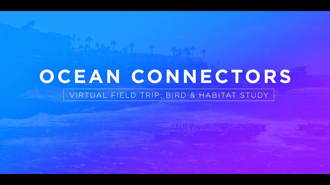 Ocean Connectors Virtual Field Trip: Bird & Habitat Study (Part II ...