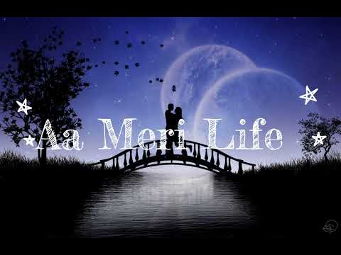 Aa meri Life | lofi | Salman Khan | Kahi pyar na ho Jaye | slowed+reverb #lofi#slowedandreverb