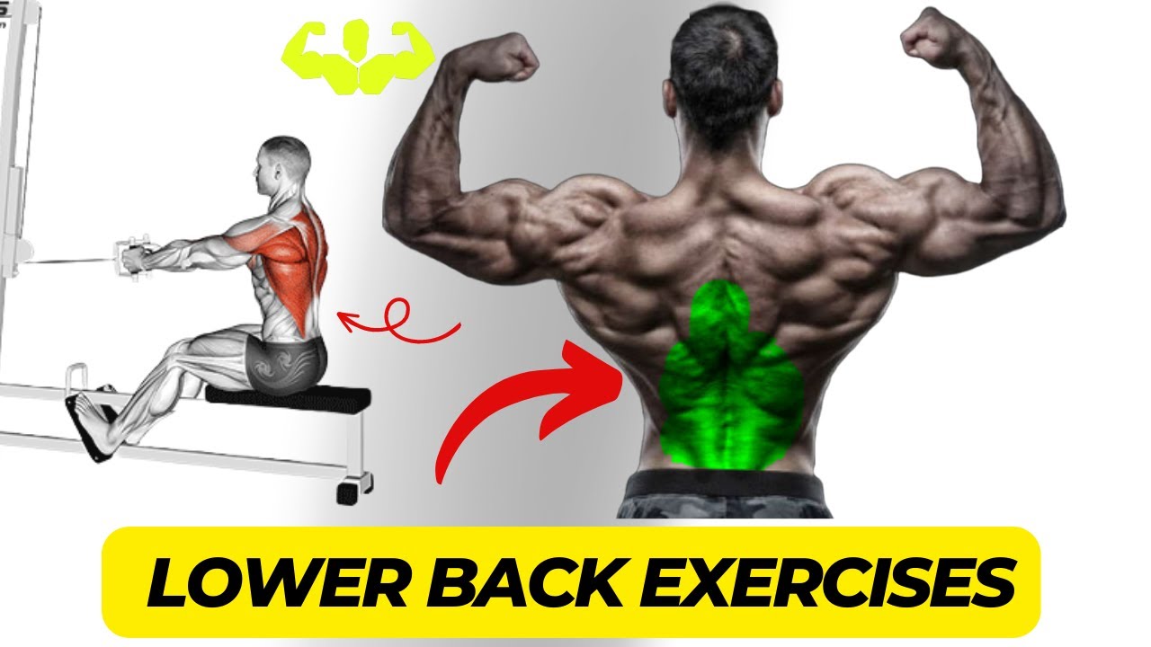 Avoid Back Pain with these Lower Back & Erector Spinae Exercises - YouTube
