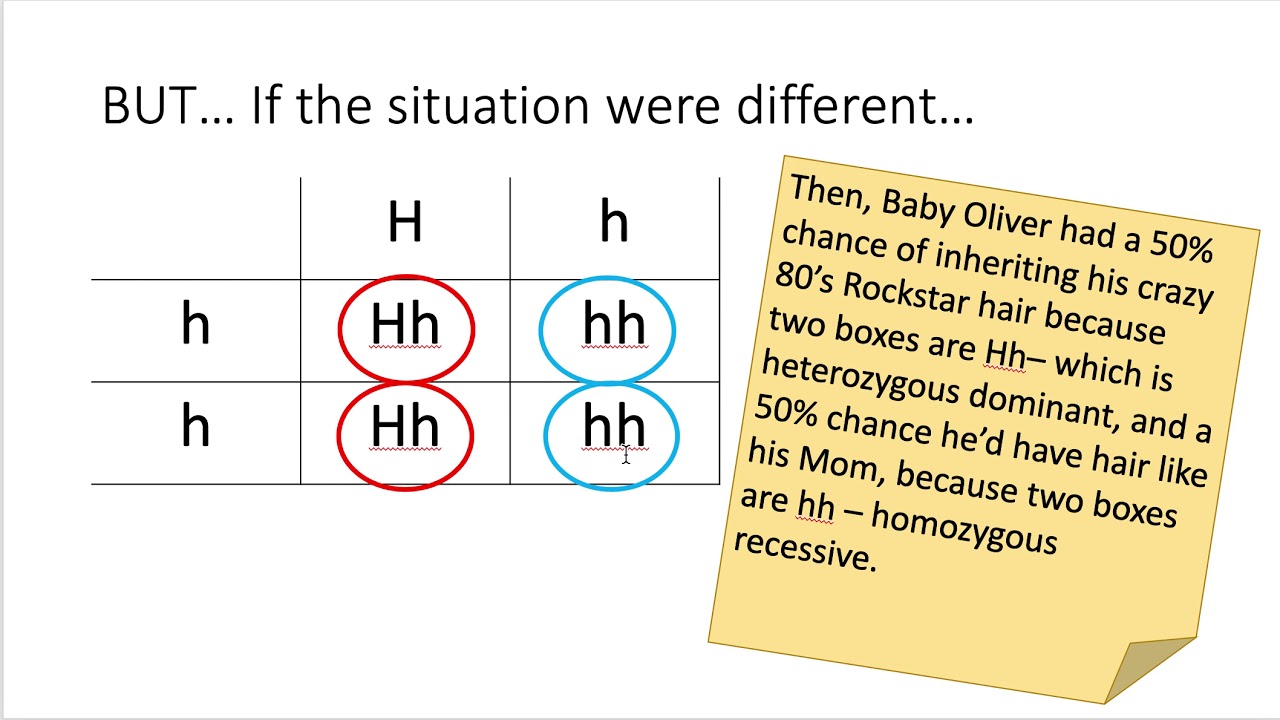 Genetics Lab Tutorial - YouTube