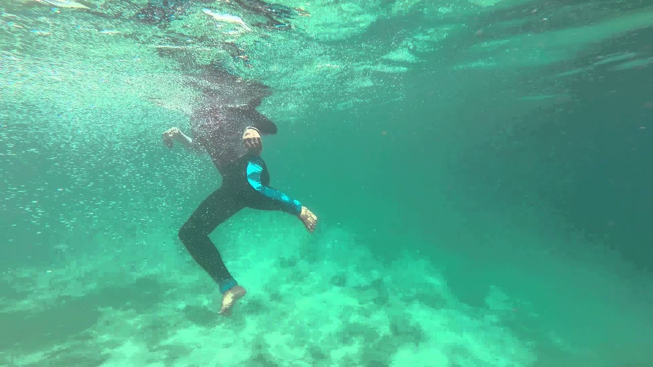 Roilo, the Awesome Fish Sanctuary of Looc, Romblon, Philippines 4 - YouTube