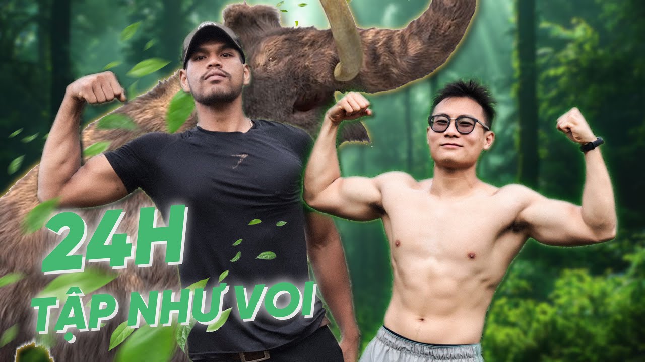 24h Trải nghiệm cuộc sống của Voi Đắk Lắk (Ăn, Tập, Lên Rẫy) | THẾ DÂN ...