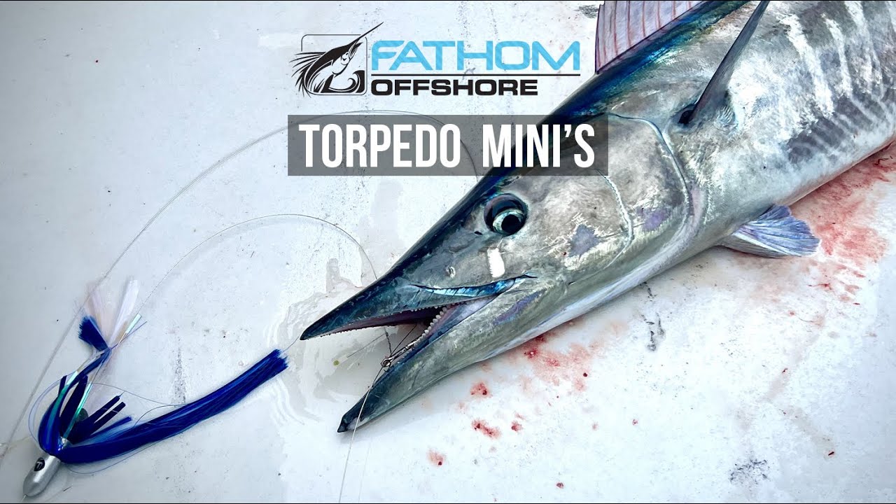 Fathom Offshore Torpedo mini's are perfect for rigging ballyhoo when ...