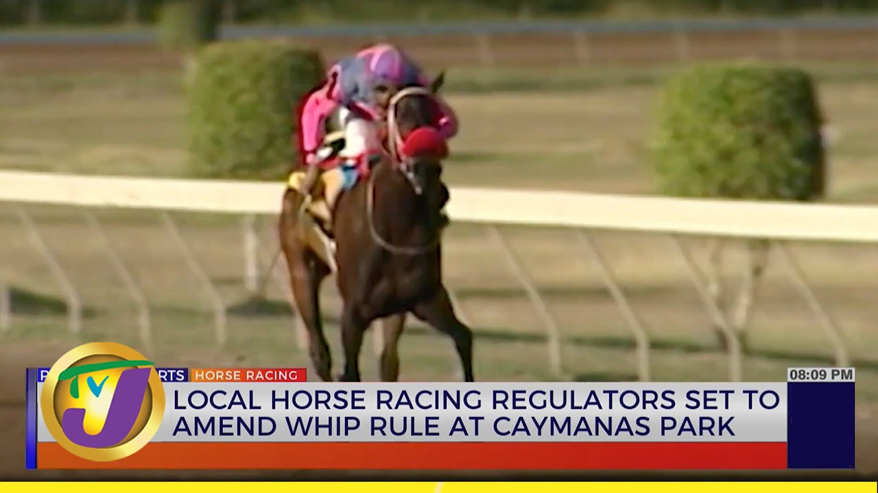 Local Horse Racing Regulators Set to Amend Whip Rule at Caymanas Park ...