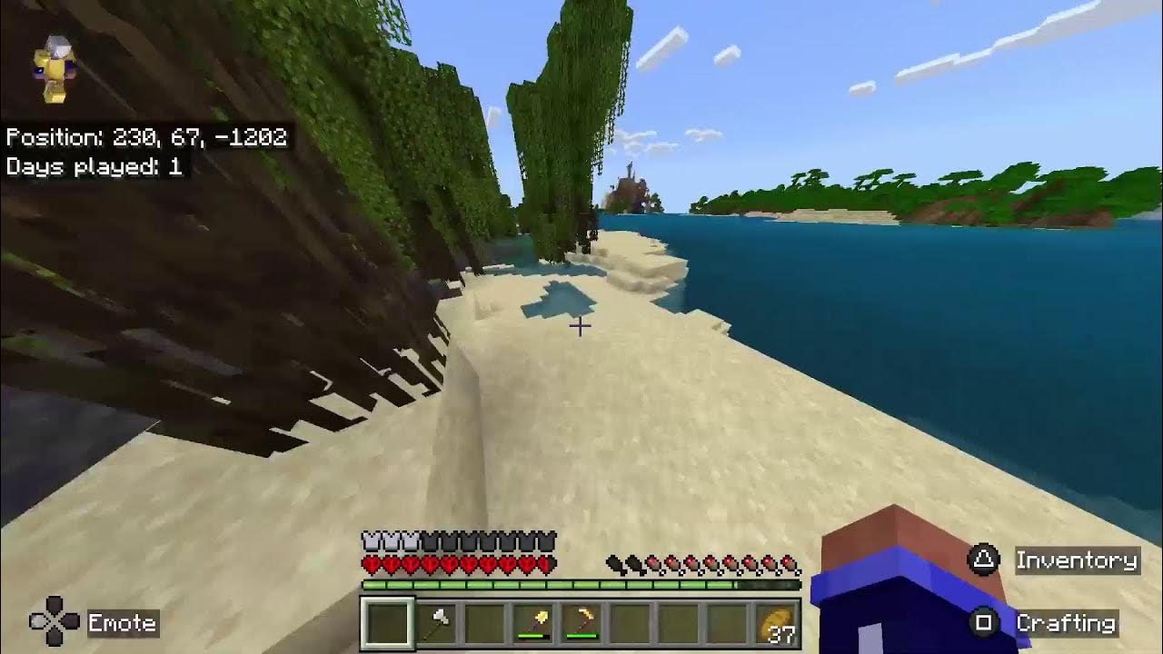 (PS5) Minecraft/Hardcore/100 real days - YouTube