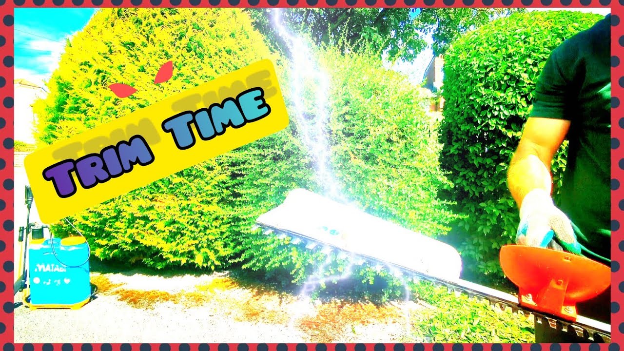 Quick DIY Garden Shrub Shape Up ! - YouTube