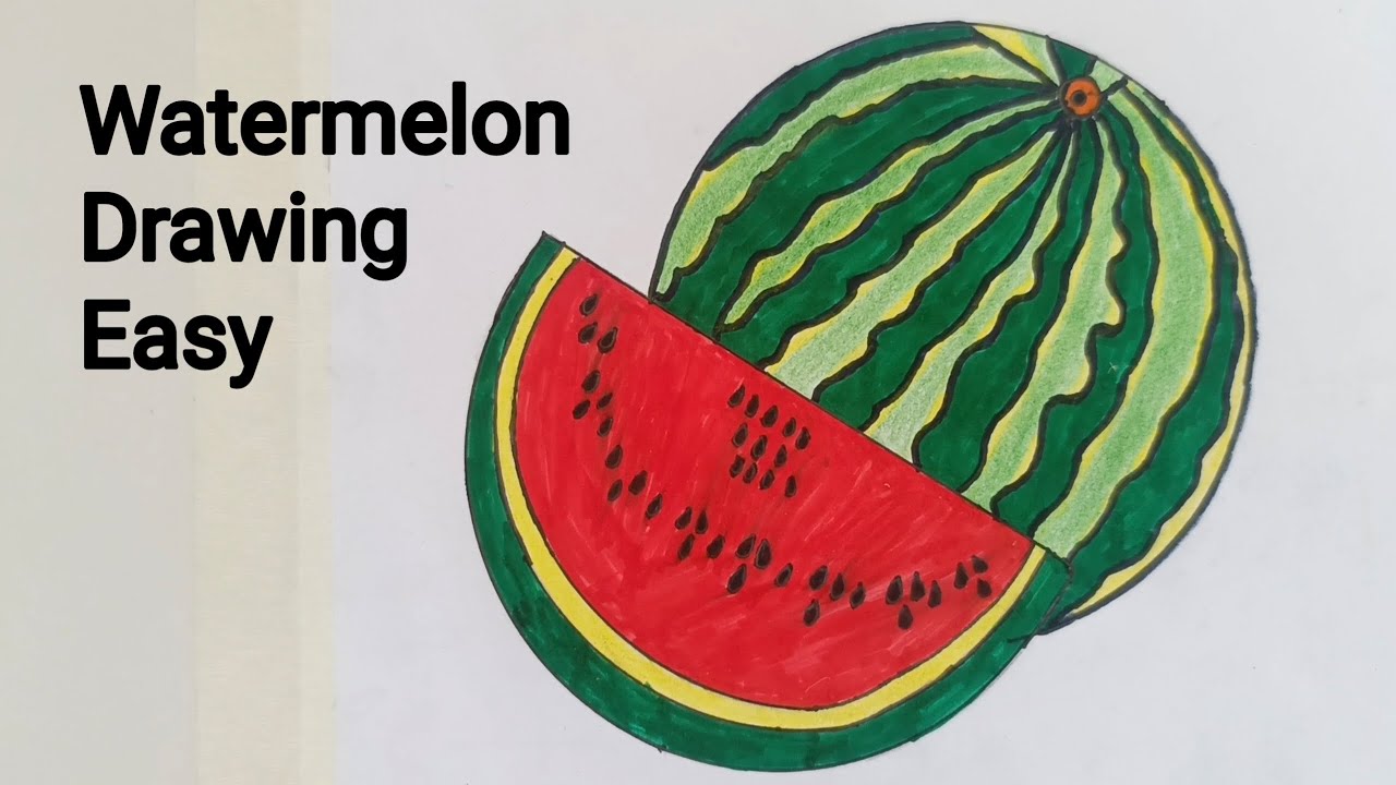 Watermelon Drawing How To Drawing Watermelon With Pencil - YouTube