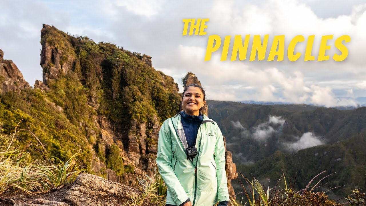 Hiking the Pinnacles | Best Hike/Walk in Coromandel, New Zealand ...